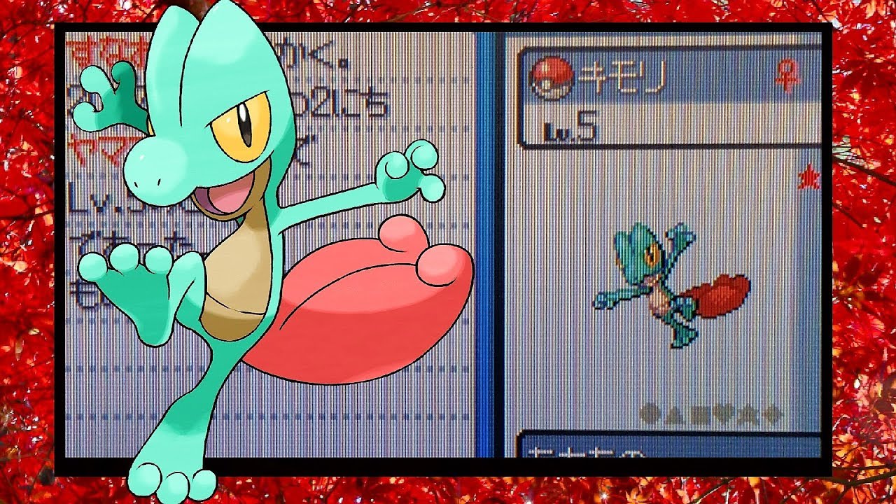 LIVE!! Shiny Female Treecko from Steven Stone after 1,105 SRs in ...