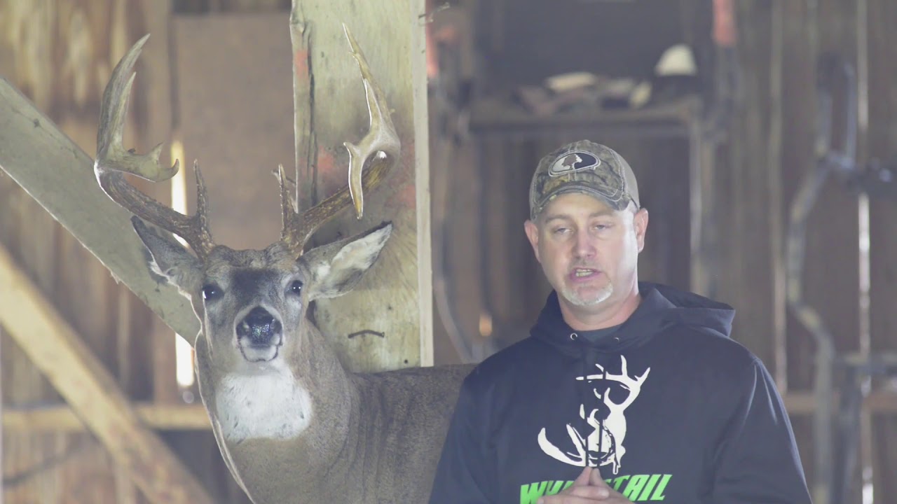 Whitetail Edge's Ben Rising "On Time" Buck | BuckScore Profiles - YouTube