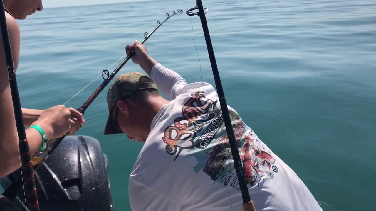 Goliath Grouper Fishing in Captiva Island - YouTube