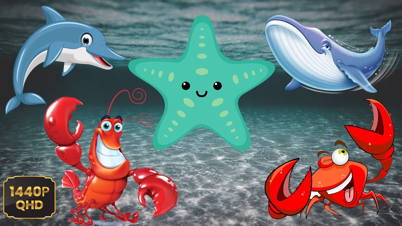 Sea Animal And Relaxing Sound | Crab, Whale, Dolphin, Starfish, Lobster ...