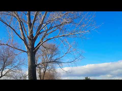 ( Şiir Dinletisi) -Geçen Yıl Bugün-