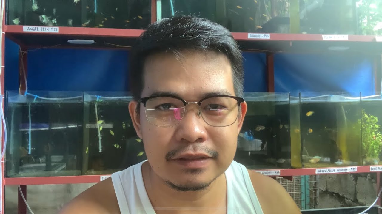 NEW GOLDFISH ORANDA BREEDER+ may nag bigay sakin ng Betta Fish - YouTube