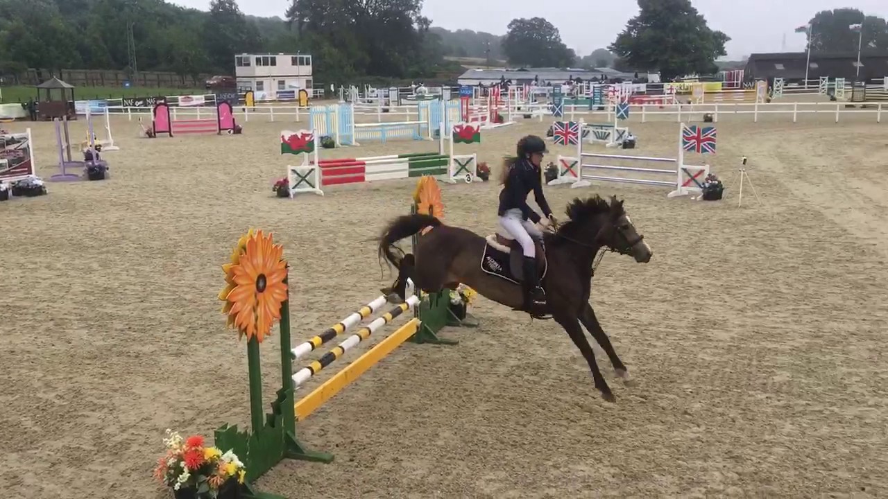 Kailee Miami Quicksands 28.7.17 90cm whpi Wales - YouTube