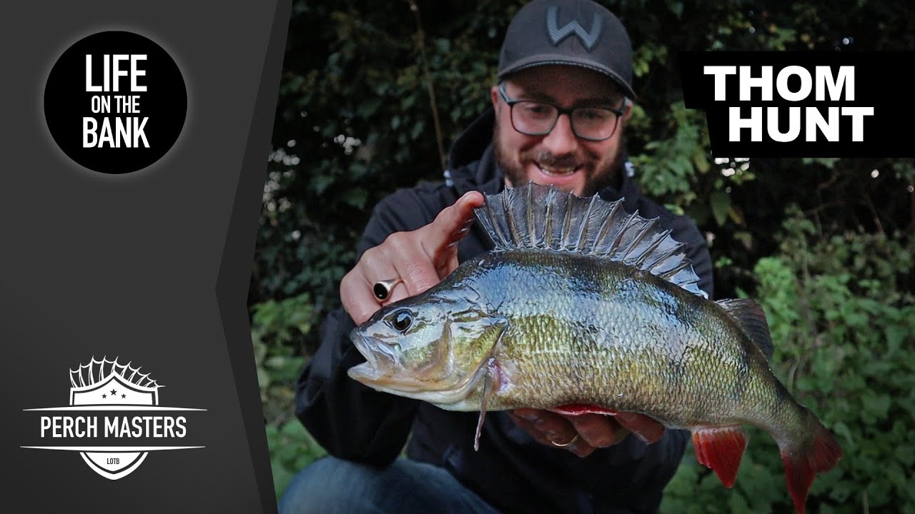 PERCH FISHING MASTERS | SEASON 2 | EPISODE 2 - THOM HUNT - YouTube