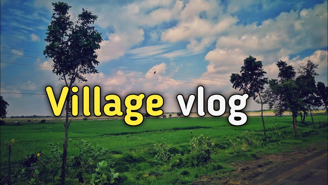 Village Vlog || daily vlog || village life style || हमारे गांव का नजारा ...