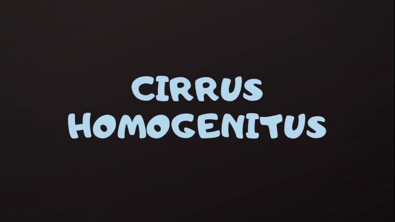 CIRROS HOMOGENITUS transformándose en HOMOMUTATUS. Nubes en time lapse ...