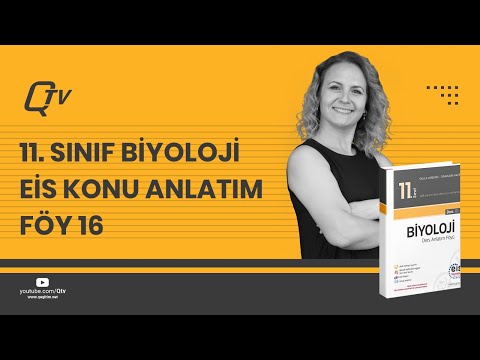 EİS Biyoloji Ders Anlatım Föyleri | Föy 16 | Dolaşım Sistemi-1