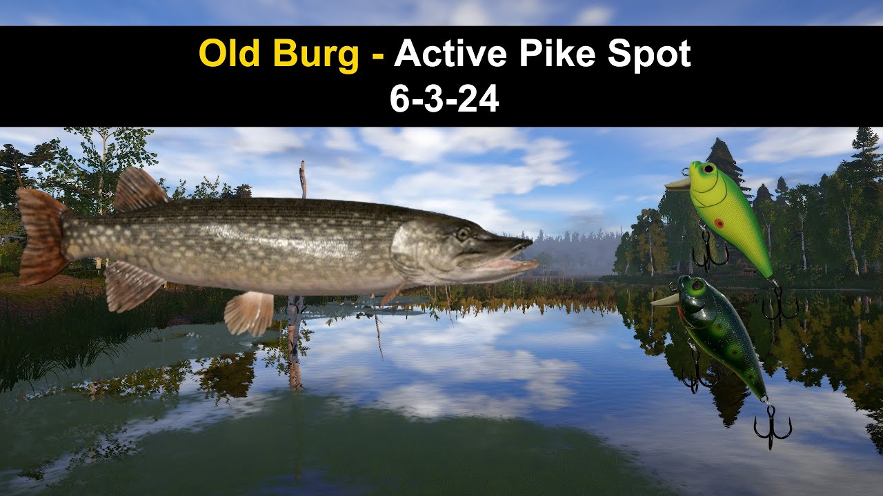 Russian Fishing 4, Old Burg - Active Pike Spot 6-3-24 - YouTube