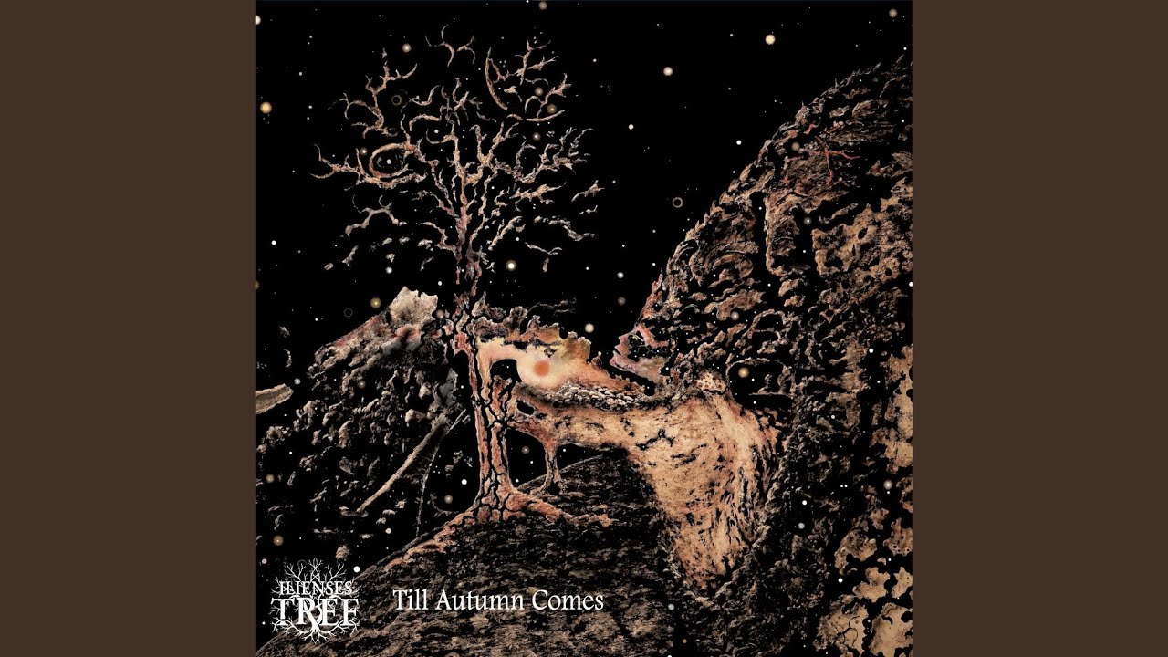 The Observer - YouTube