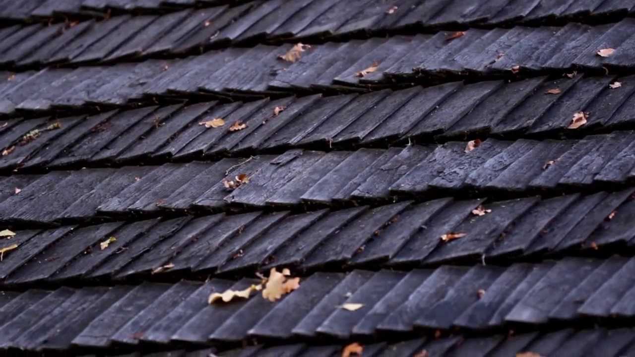 1100 Cedar wooden roof shingles and tall trees on the background - YouTube
