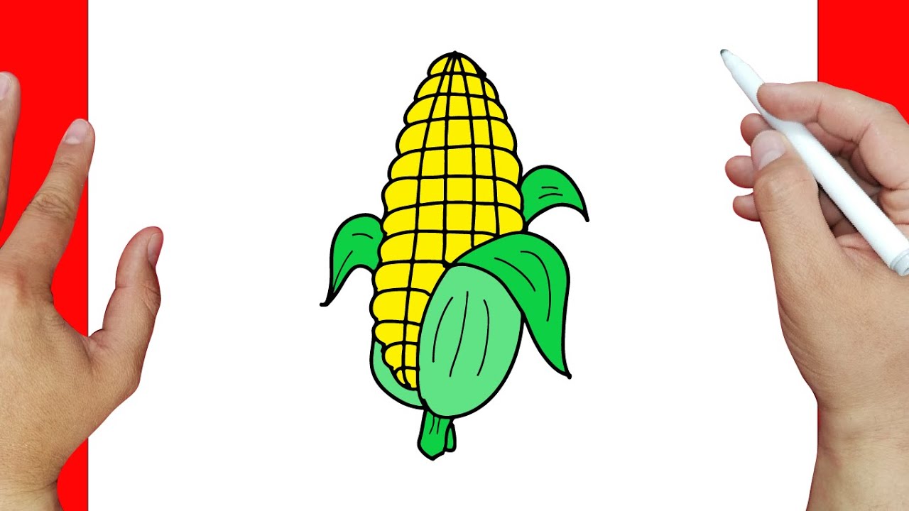 como dibujar una mazorca | Dibujos fáciles - YouTube
