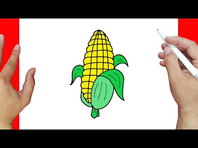 Dibujo De Mazorca De Maíz Para Colorear