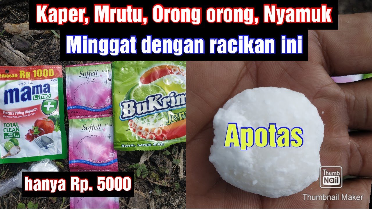 Cara menyemprot hama kaper, orong2, nyamuk, mrutu, Hanya dengan modal ...