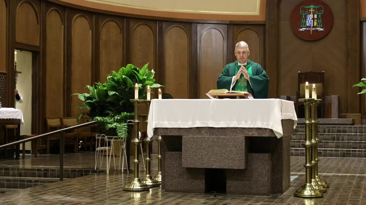 Live: Sunday Mass from the Cathedral - YouTube