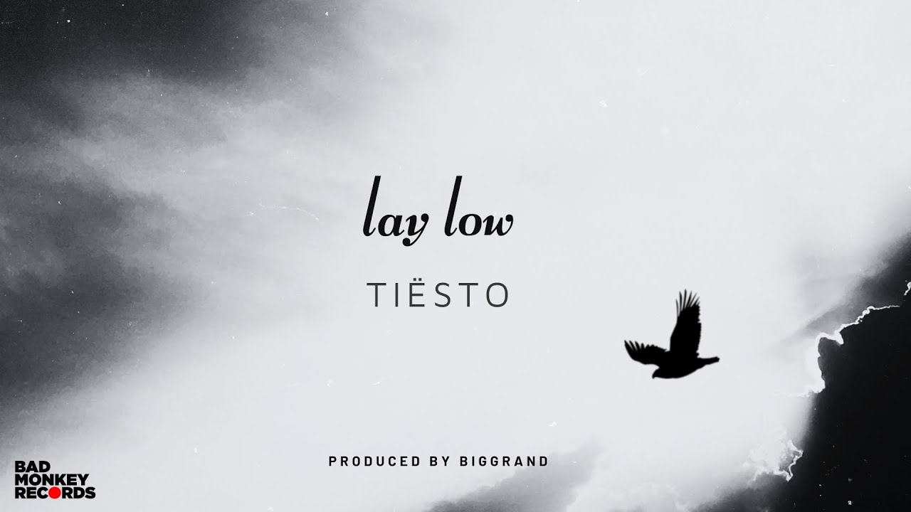 Tiësto - Lay Low (DJ BigGrand TechHouse Edit) #laylow #djbiggrand # ...