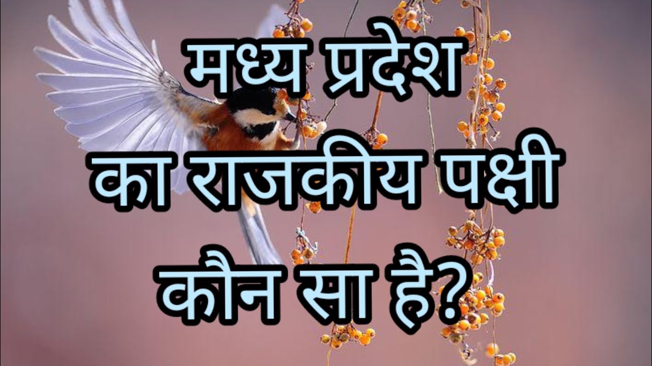 मध्य प्रदेश का राज्य पक्षी कौन सा है ? Which is the state bird of ...