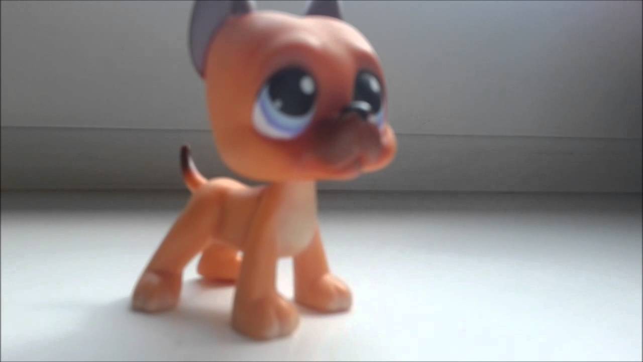 Lps Shopping # 11 - Dog 244 :3 - YouTube