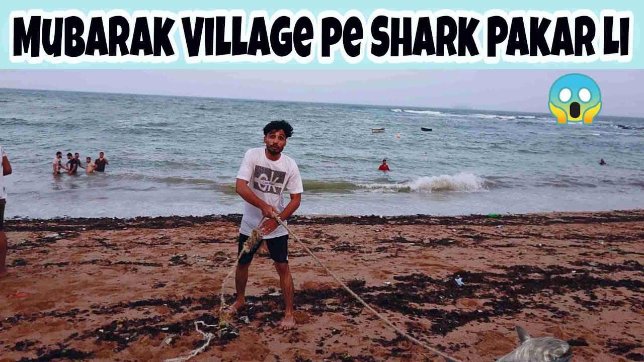 Shark Attack in Karachi Beach | Unexpected | Picnic 2022 | Vlog 21 ...