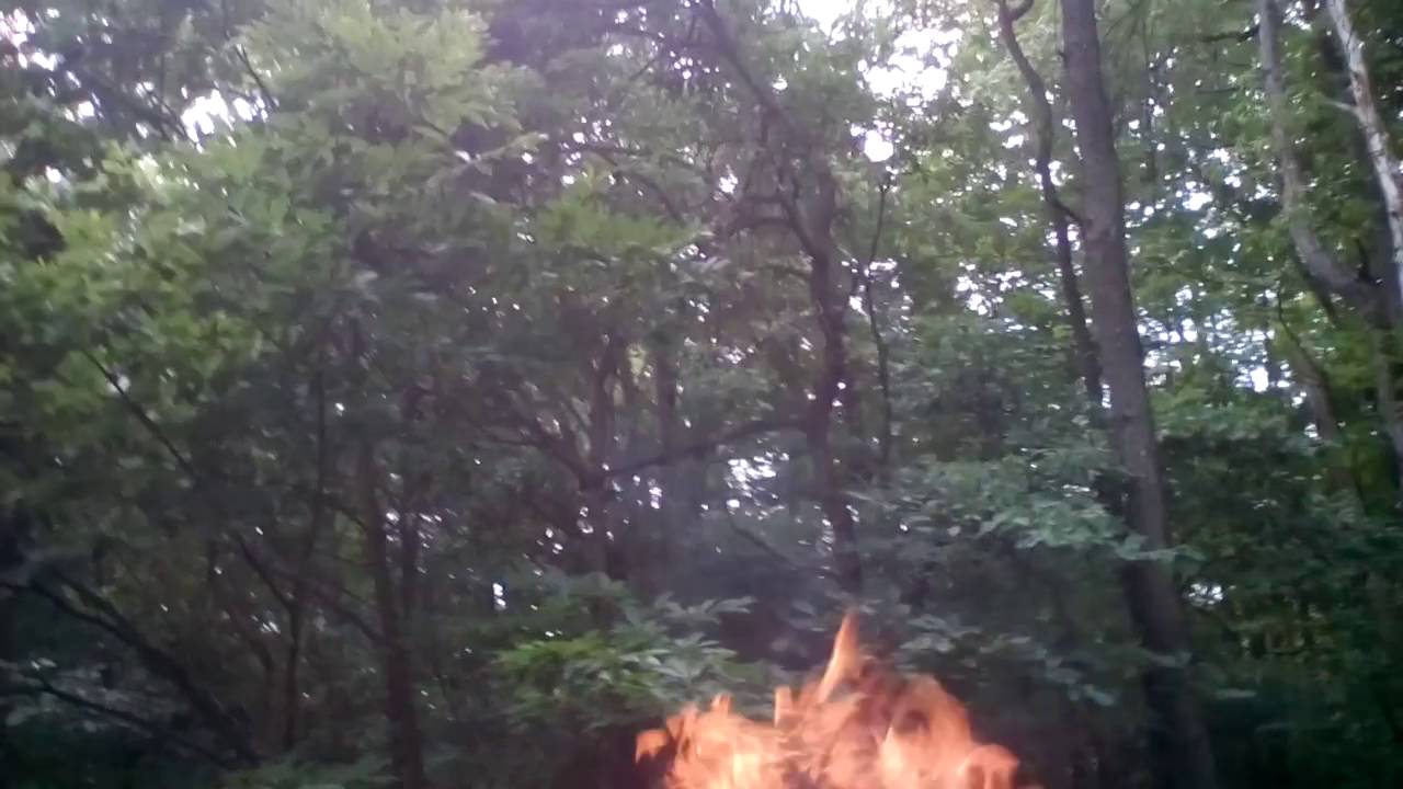Angry Dad BURNS Autograph! - YouTube