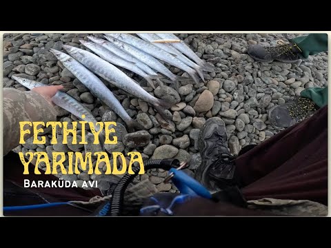Baraküda sürüsünü bulduk, Fethiye Balık Avı