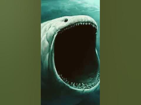 Bloop sound - YouTube