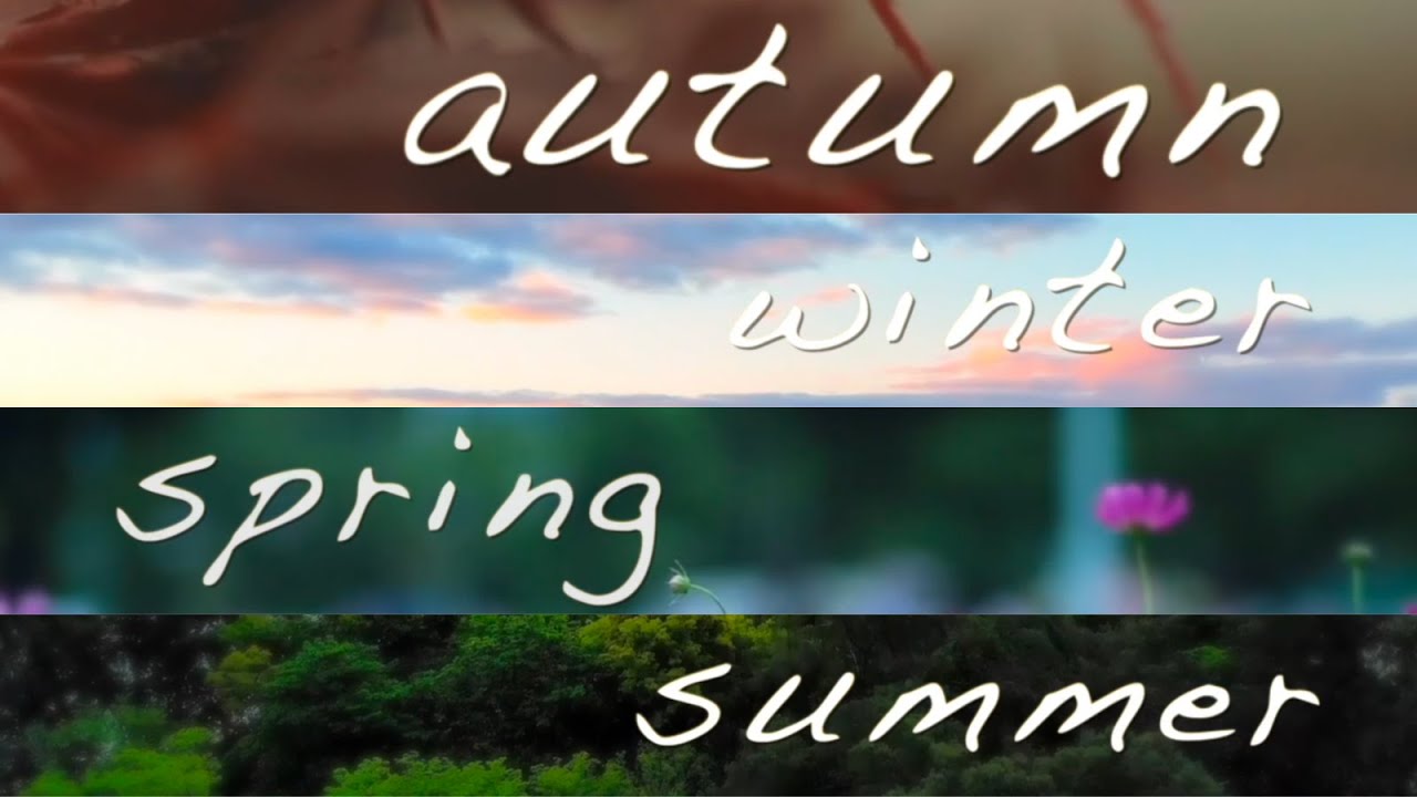 🌿Nature’s Lullaby: Four Seasons of Sound and Scenery - YouTube