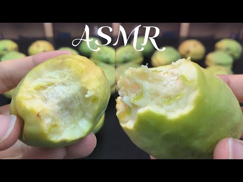 【ASMR】Terminalia Catappa Fruit | Enjoy ~ Relaxing Eating Sounds [No Talking] 😻