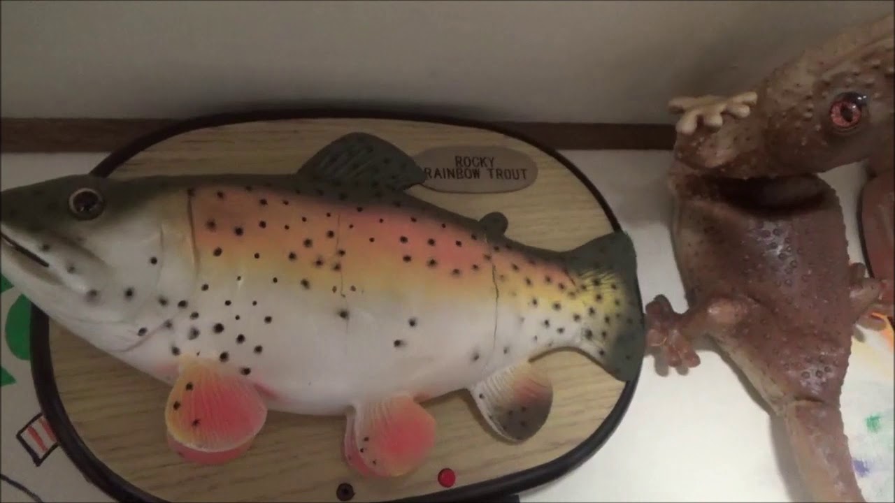 Singing Fish Collection - YouTube