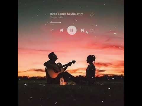 Aşk serseri bir kuş