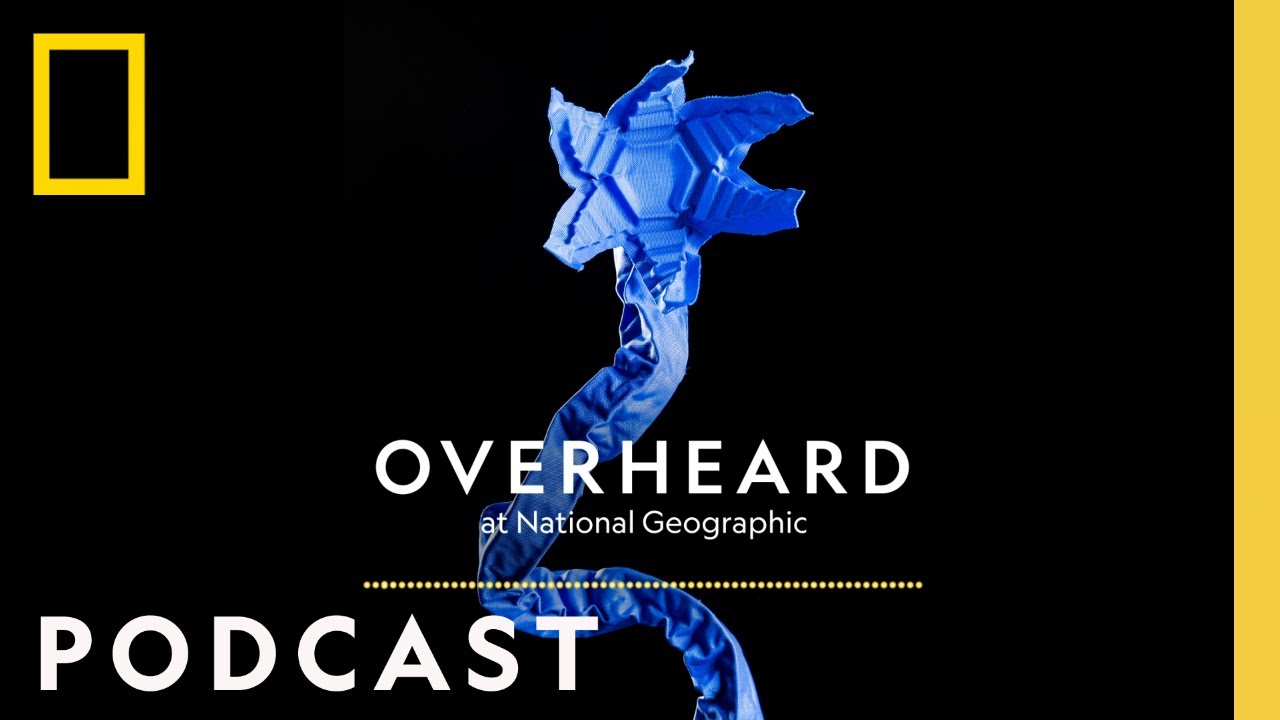 Unfolding the Future of Origami | Podcast | Overheard at National ...