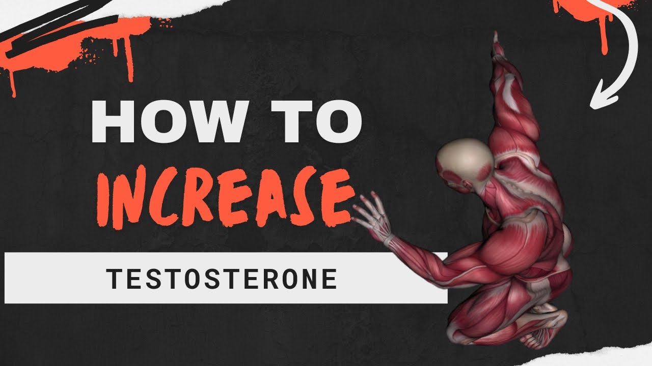 How to Quickly Increase Testosterone in the Body | Testosterone Booster ...