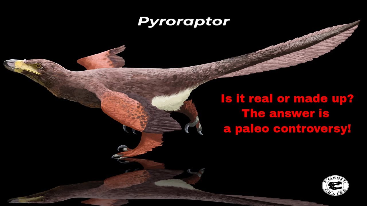 Pyroraptor