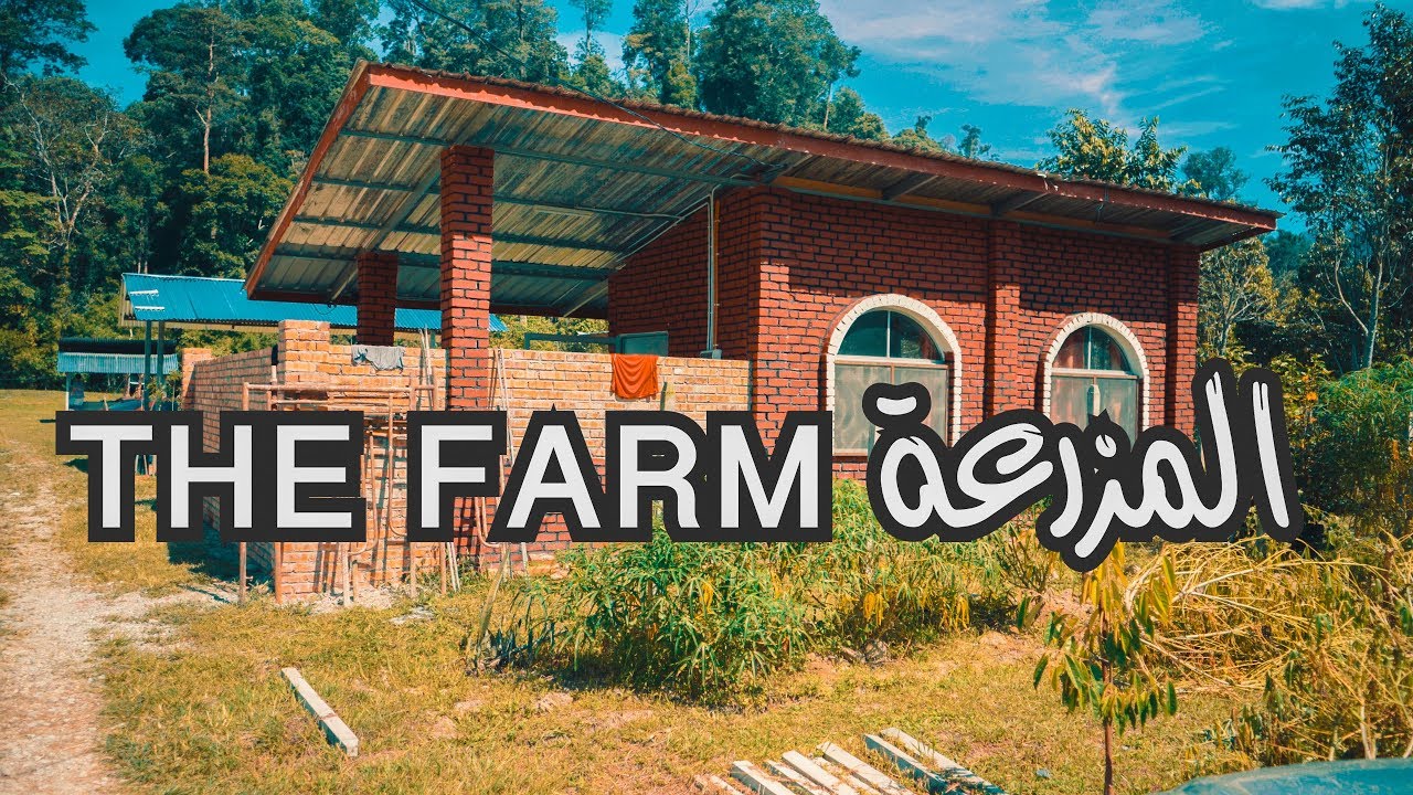 المزرعة ماليزيا the farm malaysia - YouTube