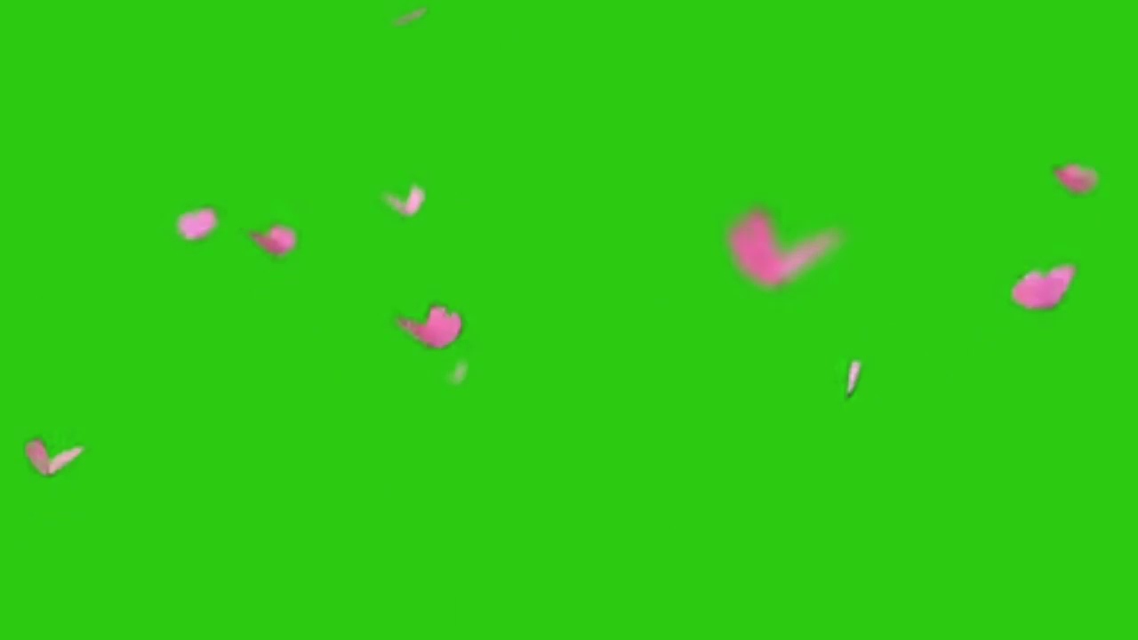 Pink Butterfly Background Green Screen Effects Video - YouTube