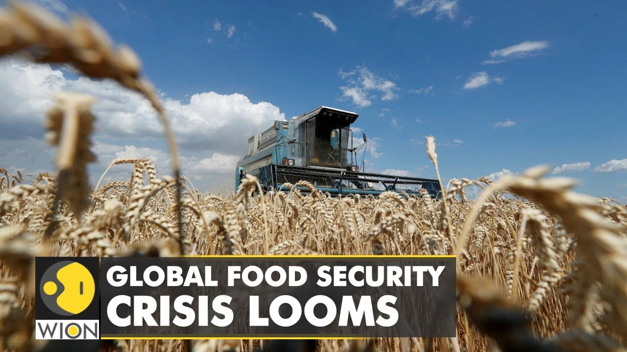 Global food security crisis looms: Russia to free up maritime blockade ...