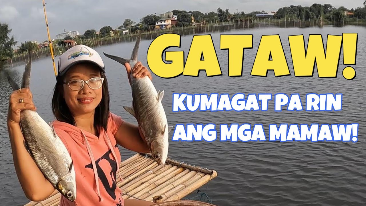 Kahit GATAW! tuloy sa pagkagat ang mga MAMAW! | COLOONG 1 FISHING SPOT | Aling Panyang - YouTube