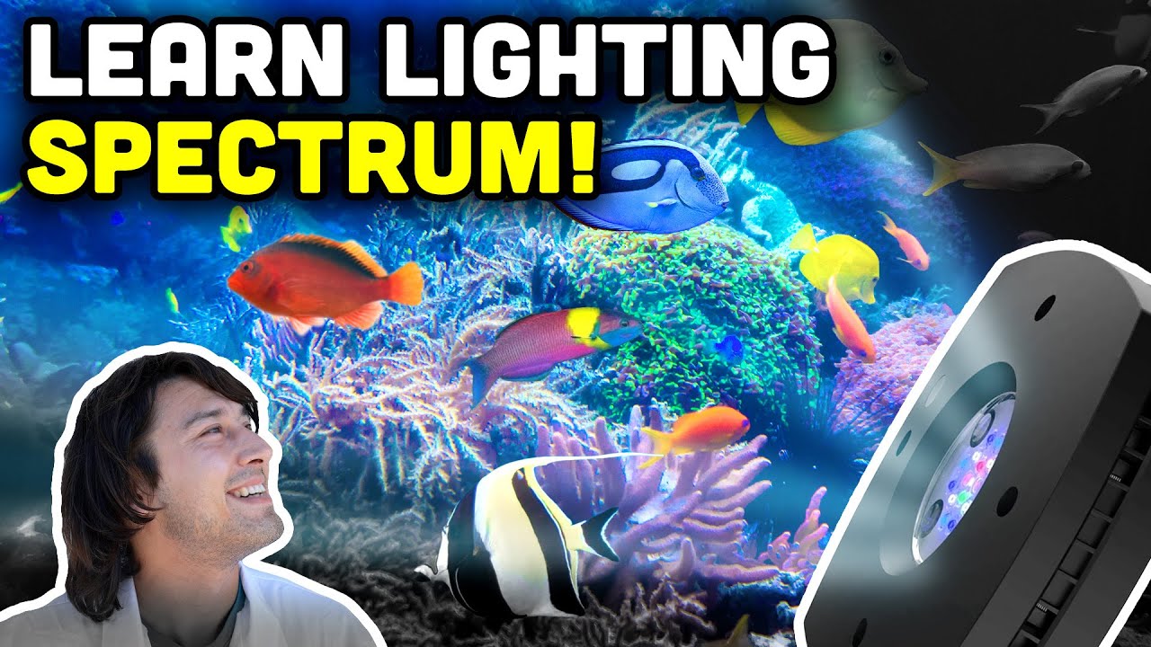 Discussing Light Spectrum in Our Reef Aquariums! - YouTube