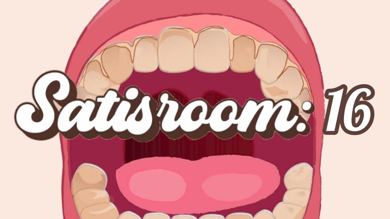 Satisroom: Perfectly Organize Level 16 Walkthrough - YouTube