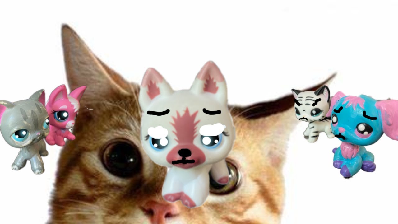 Petify saga pt 1 - YouTube