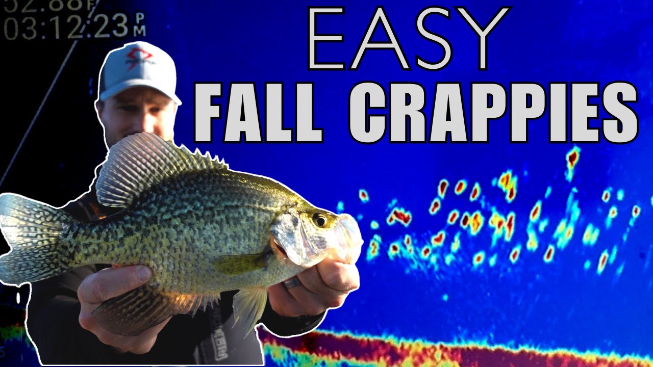 EASY Pattern For Fall Crappie Fishing (4 Steps) - Locations, Lures ...