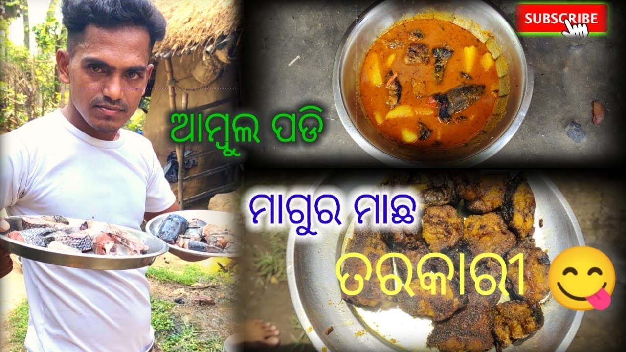 ଆମ୍ବୁଲ ପଡ଼ି ମାଗୁର ମାଛ ଝୋଳ ambul padi magura macha jhol - YouTube