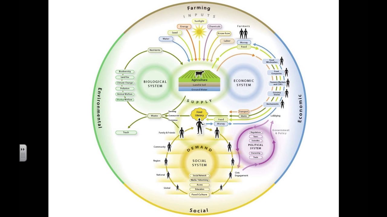 APHG.5.5 - What are the characteristics of modern commercial ...