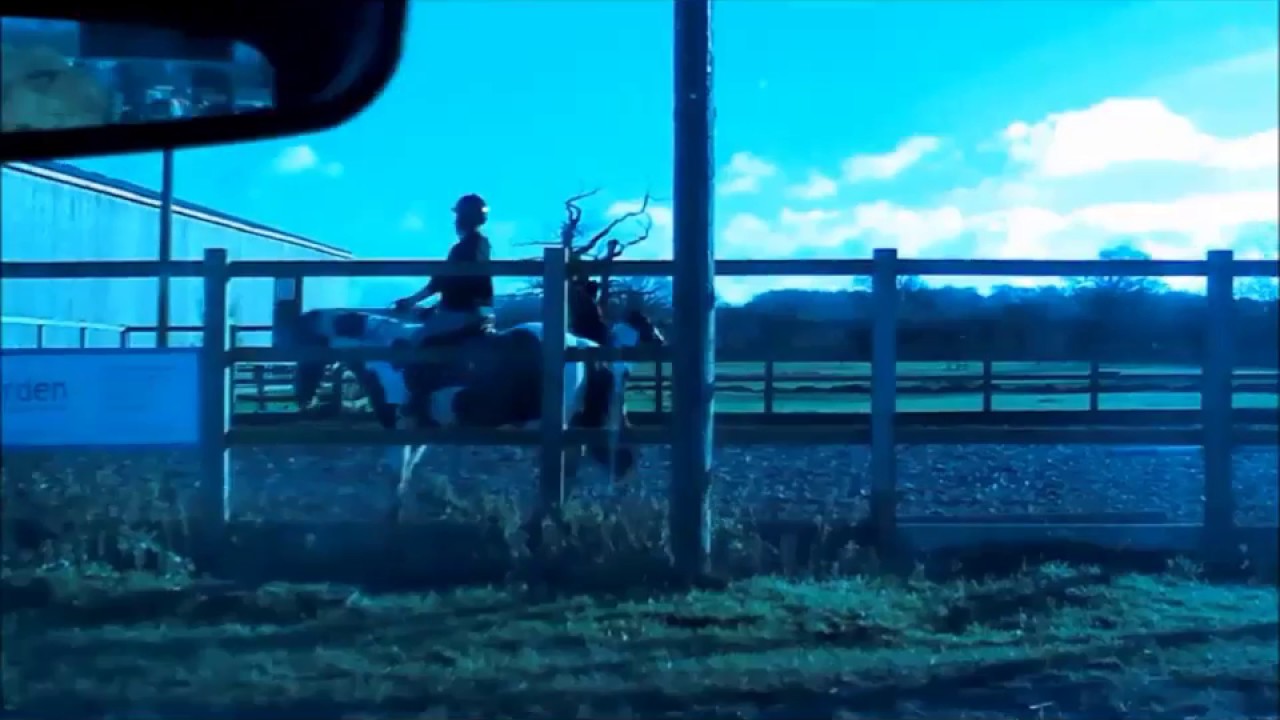 Horse Riding in Real Life! :D - YouTube