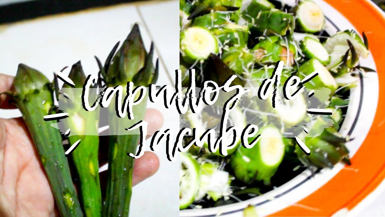 Guisado de Callupos de Jacube | Receta - YouTube