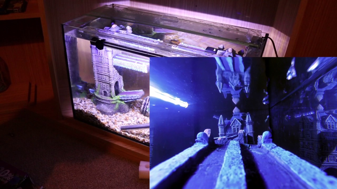 38CM Blue White LED Aquarium Light - YouTube
