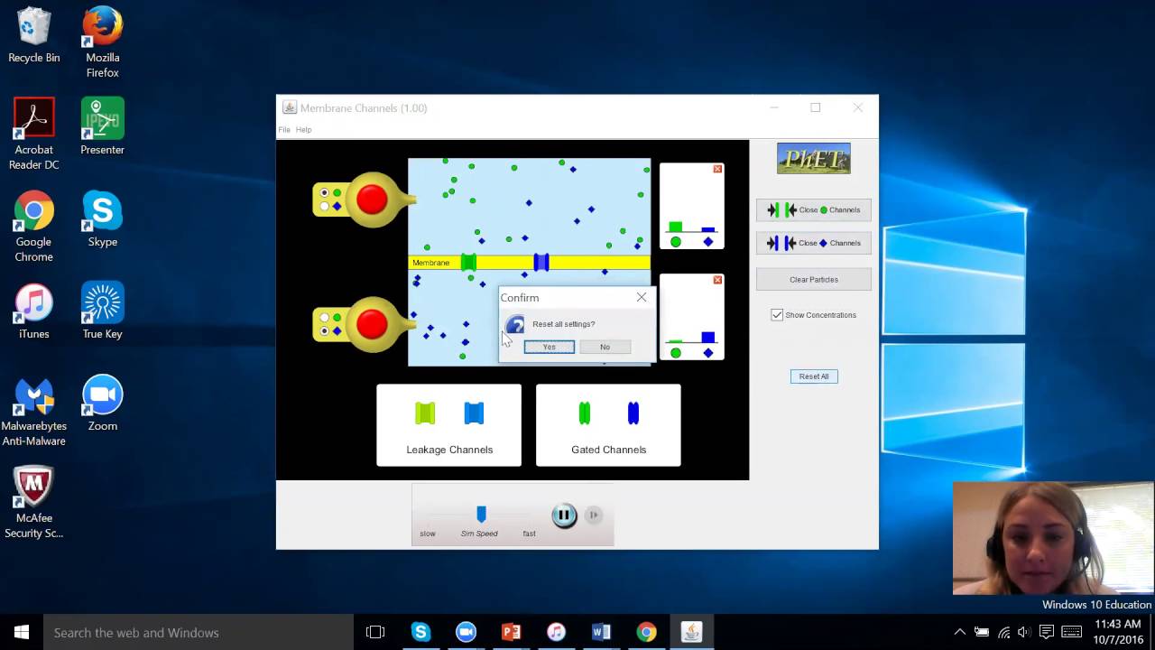 PhET Simulation: Cell Membrane Help - YouTube