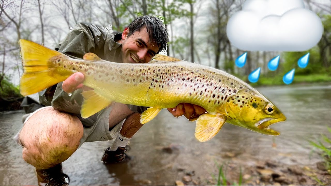 The Reward of Exploring on a Rainy Day (Stumbled upon a Zombie Trout ...
