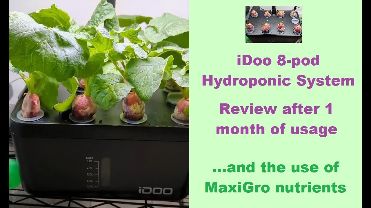 iDoo 8-pod Hydroponic System - Review after 1 month usage - Phase 1 ...