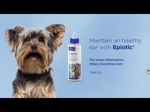 Maintaining an healthy ear - your dog wellness routine