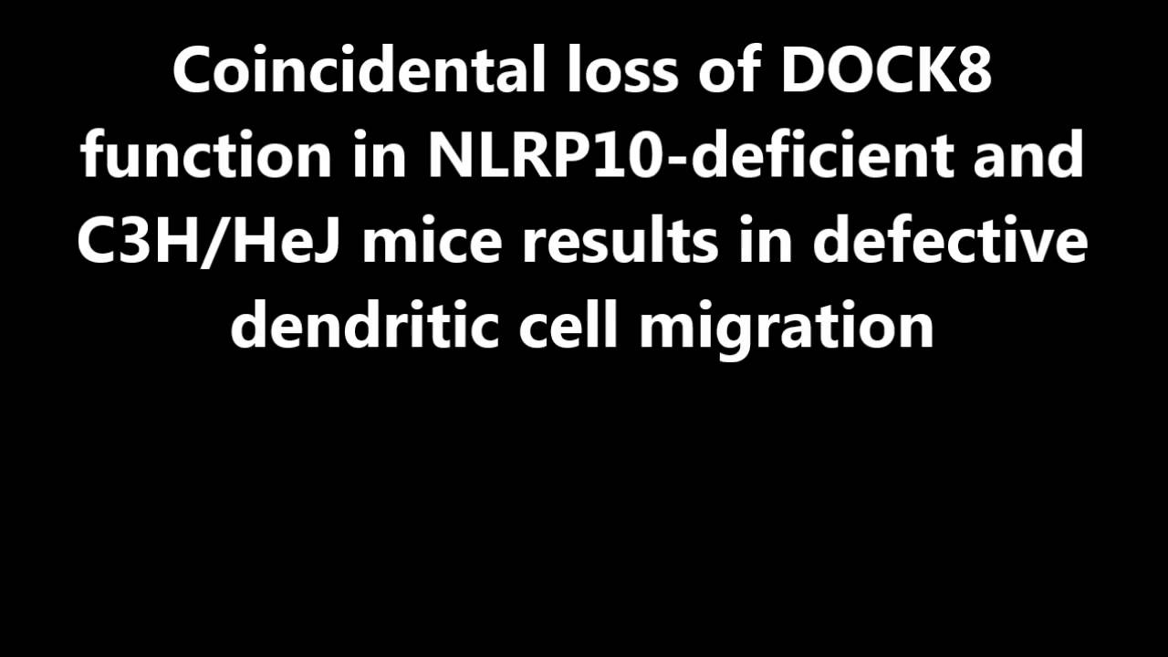 PNAS : Coincidental loss of DOCK8 function in NLRP10-deficient and C3H ...